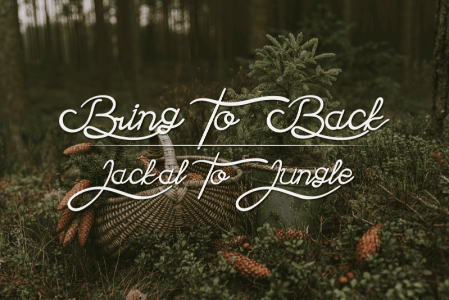 Jackal Black Jack Font · 1001 Fonts