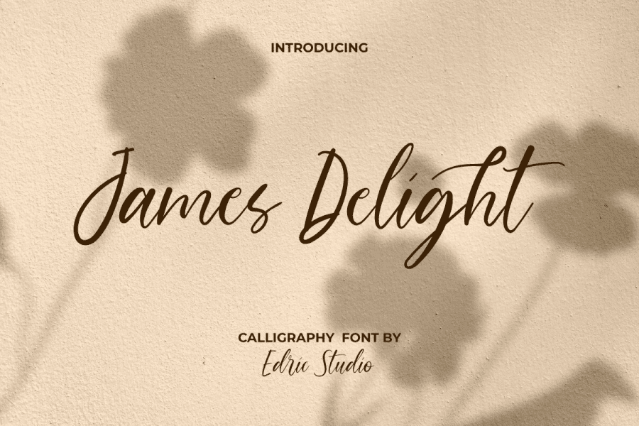 James Delight Demo Font · 1001 Fonts