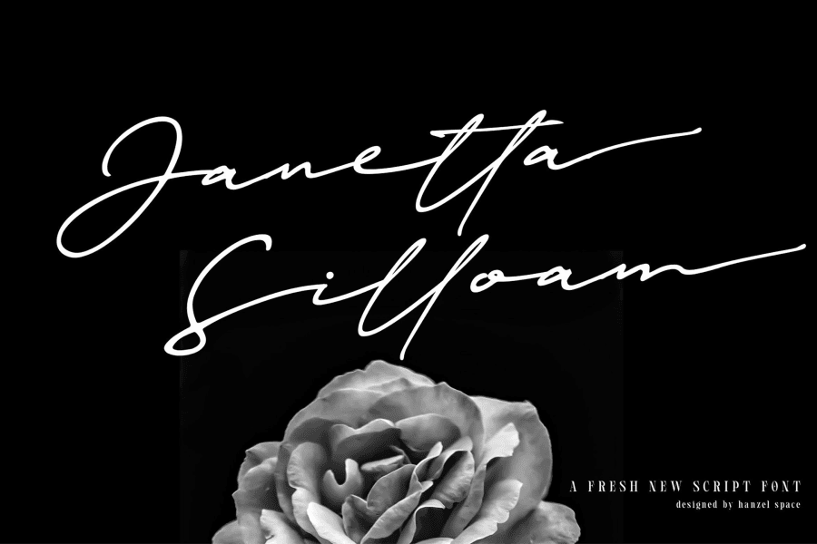 5 Free Card, Portfolio, Cool Fonts · 1001 Fonts