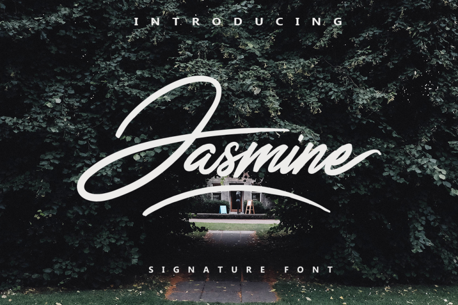 Jasmine Script Font · 1001 Fonts