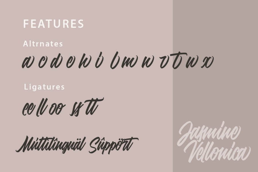 Jasmine Vellonica Font · 1001 Fonts