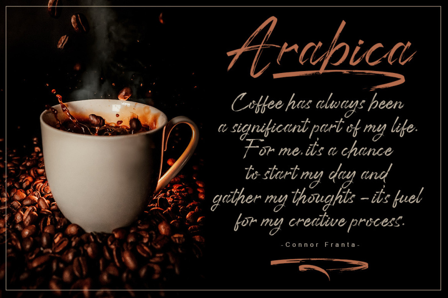 8 Free Brush Lettering, Photography, Regular Fonts · 1001 Fonts