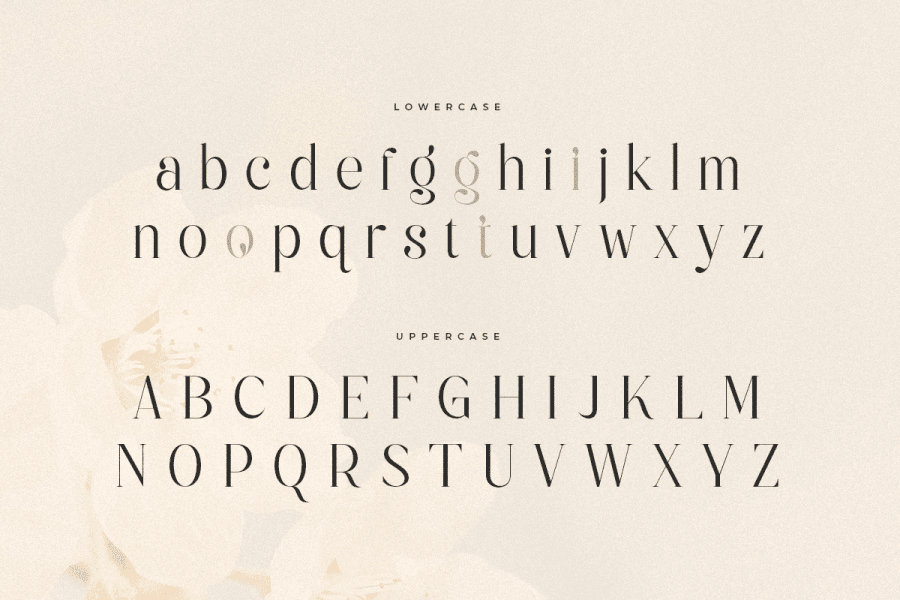Jenifer Font · 1001 Fonts