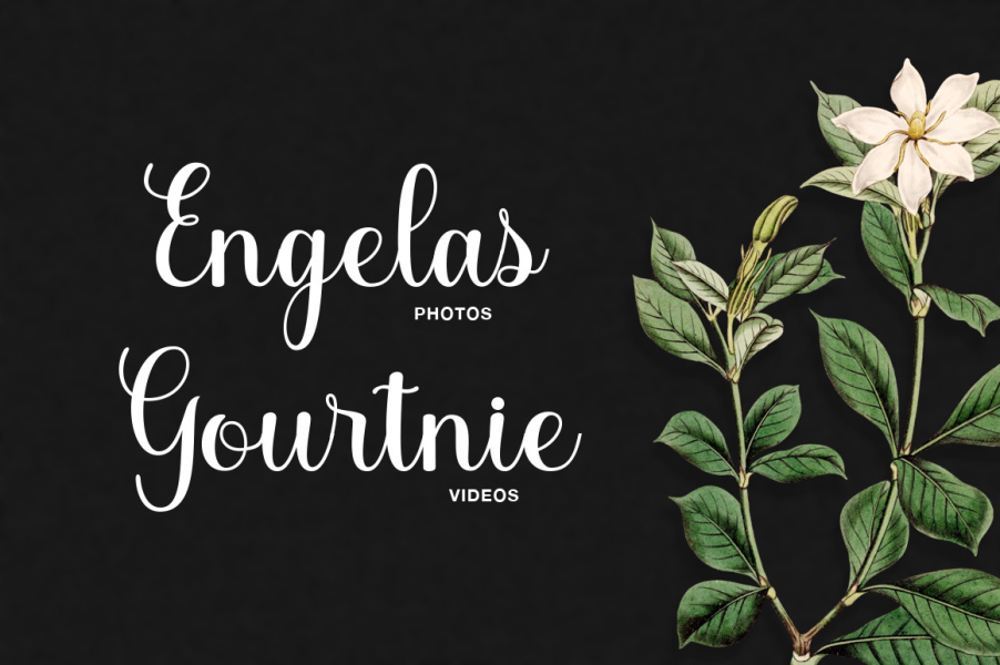 Jonalyn Script Font · 1001 Fonts