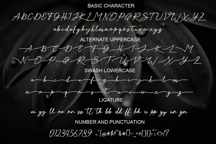 Kaliurang Signature - Personal Font · 1001 Fonts