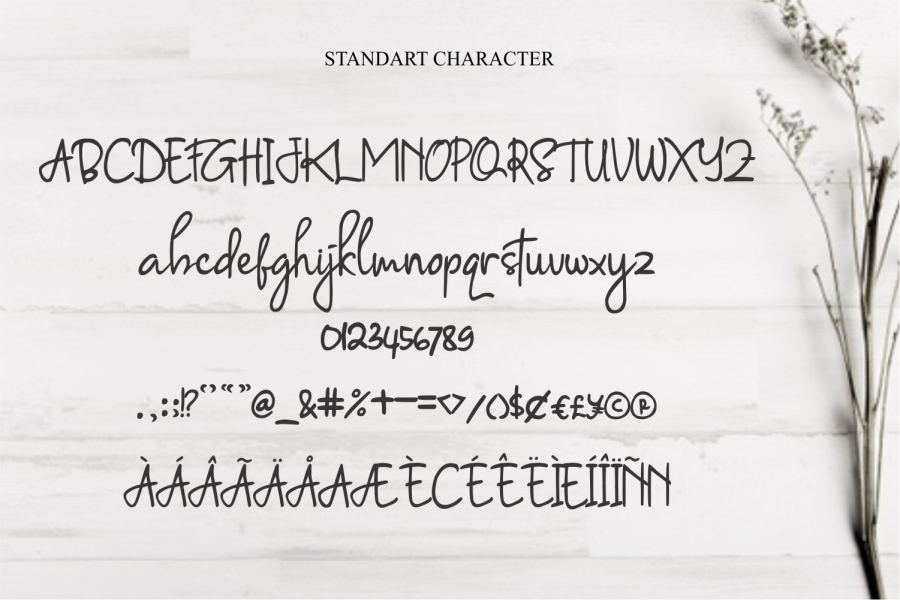 Kayla Font · 1001 Fonts