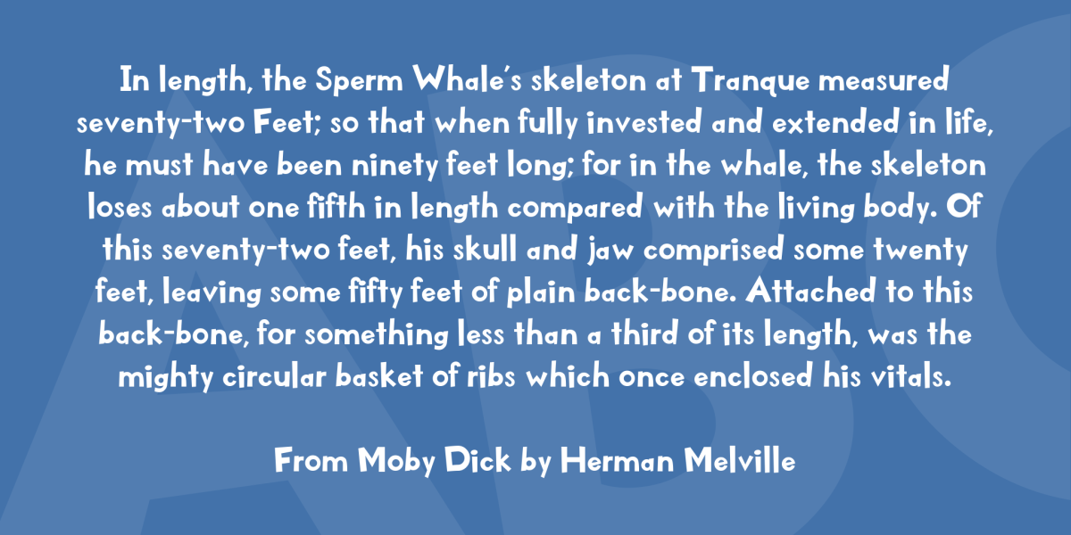 KidZone Font · 1001 Fonts