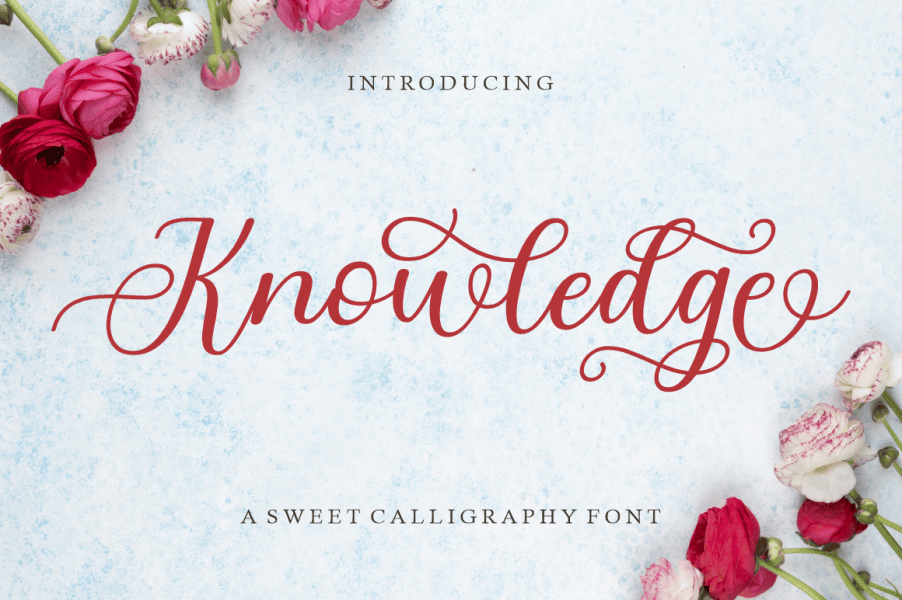 Knowledge Font · 1001 Fonts