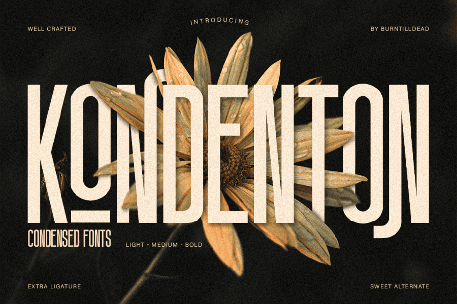 Kondenton Font Family · 1001 Fonts