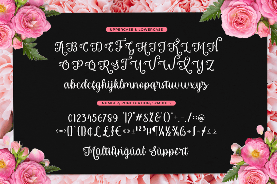 Kotadaila Font · 1001 Fonts
