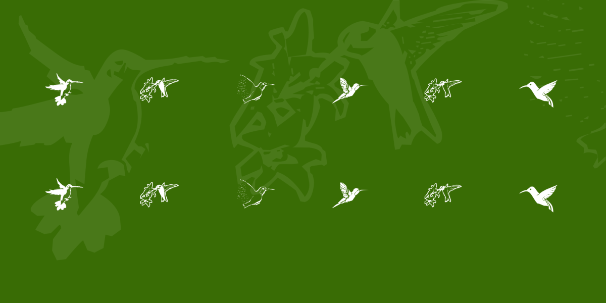 15 Free Bird Fonts · 1001 Fonts