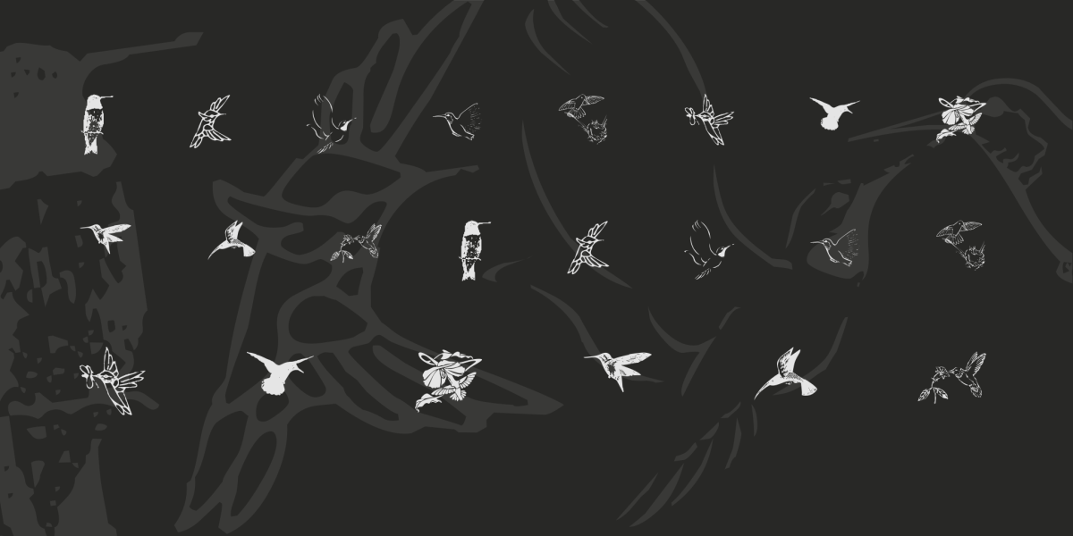 13 Free Bird Fonts · 1001 Fonts