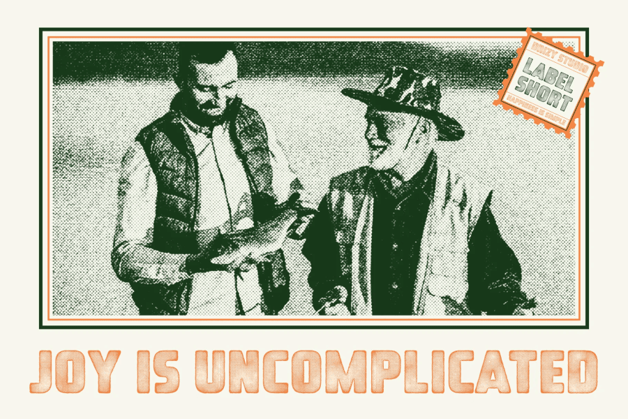 Labelshort Font · 1001 Fonts