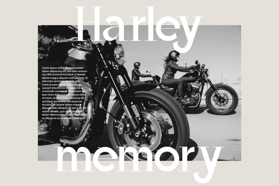 Lachlan Font · 1001 Fonts