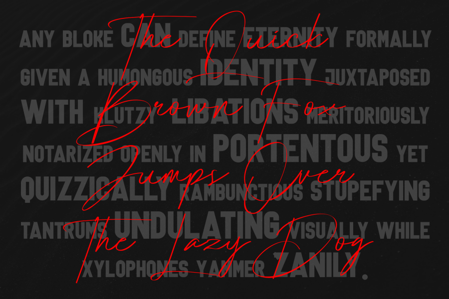 Lanterosy Font Family · 1001 Fonts