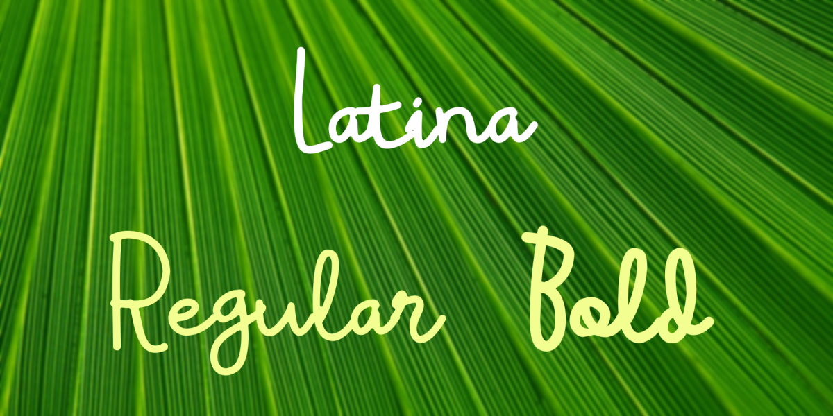 Latina Font Family · 1001 Fonts