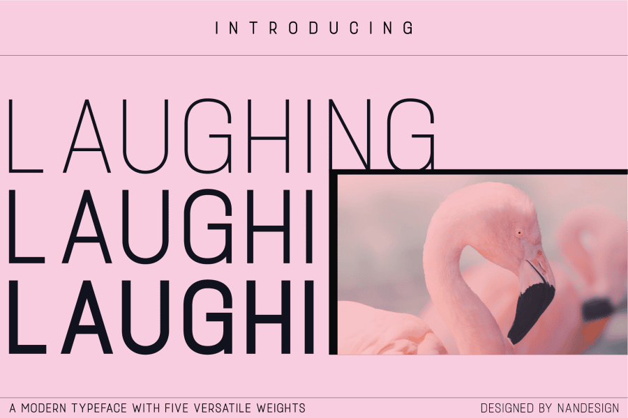 Laughing Font Family · 1001 Fonts