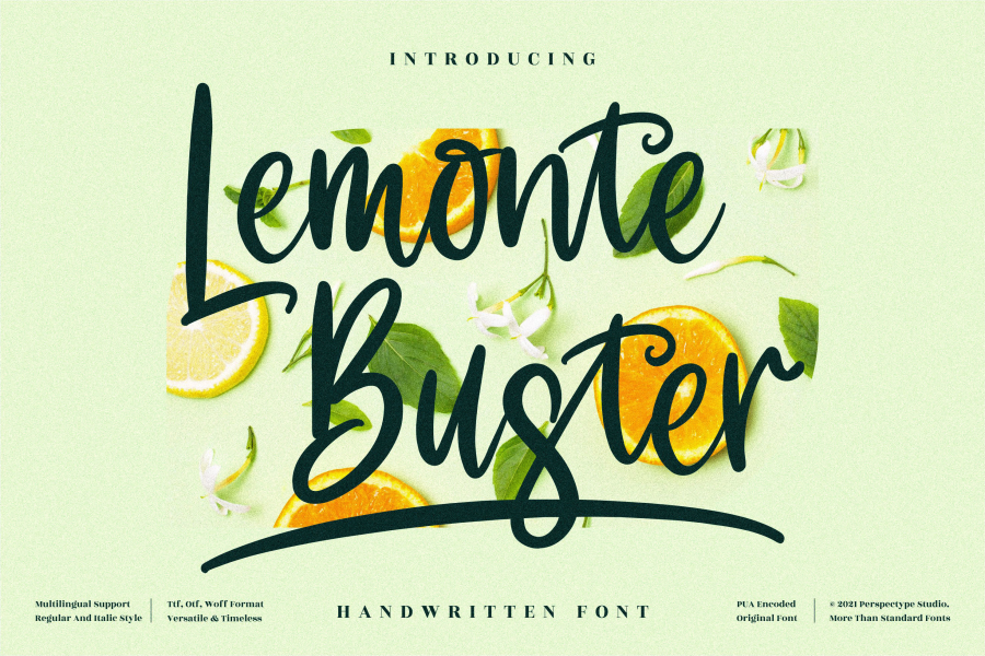 Lemonte Buster Font Family · 1001 Fonts