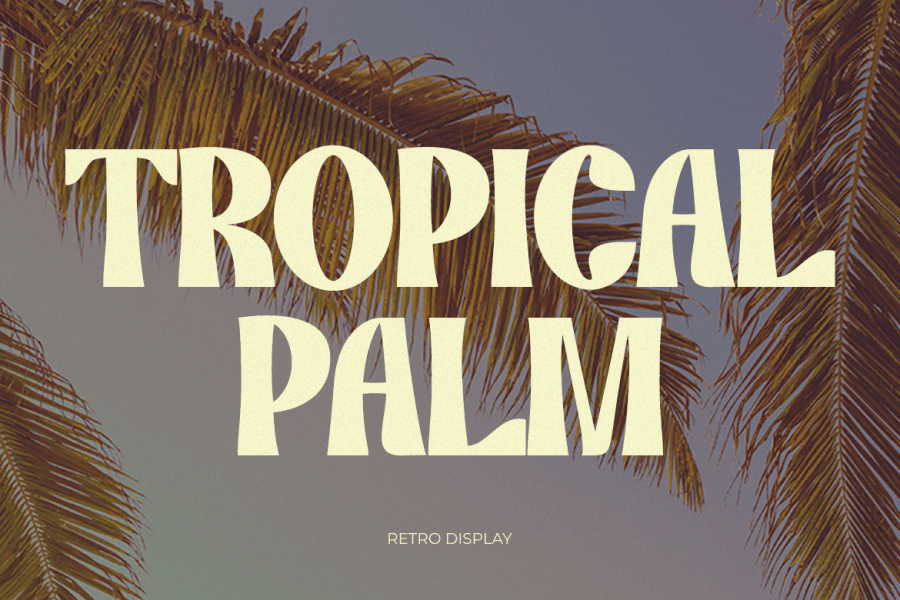 LEONARD Font · 1001 Fonts