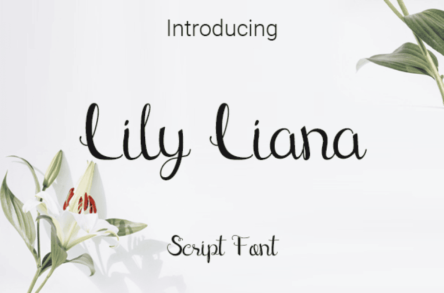 Lily Liana Font · 1001 Fonts
