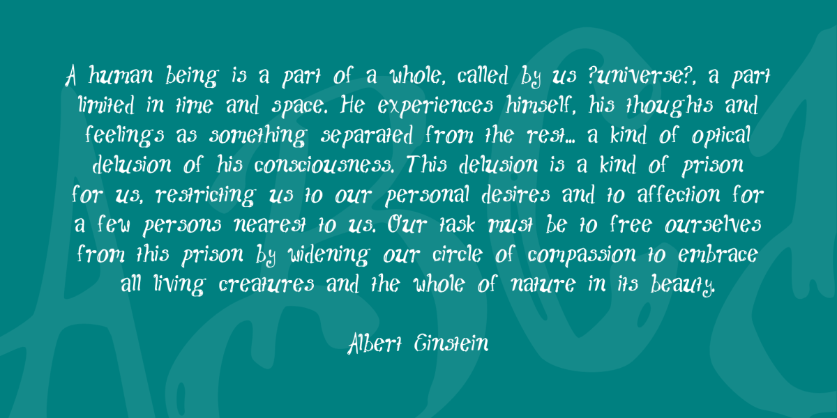 Lindberg Hand Font · 1001 Fonts