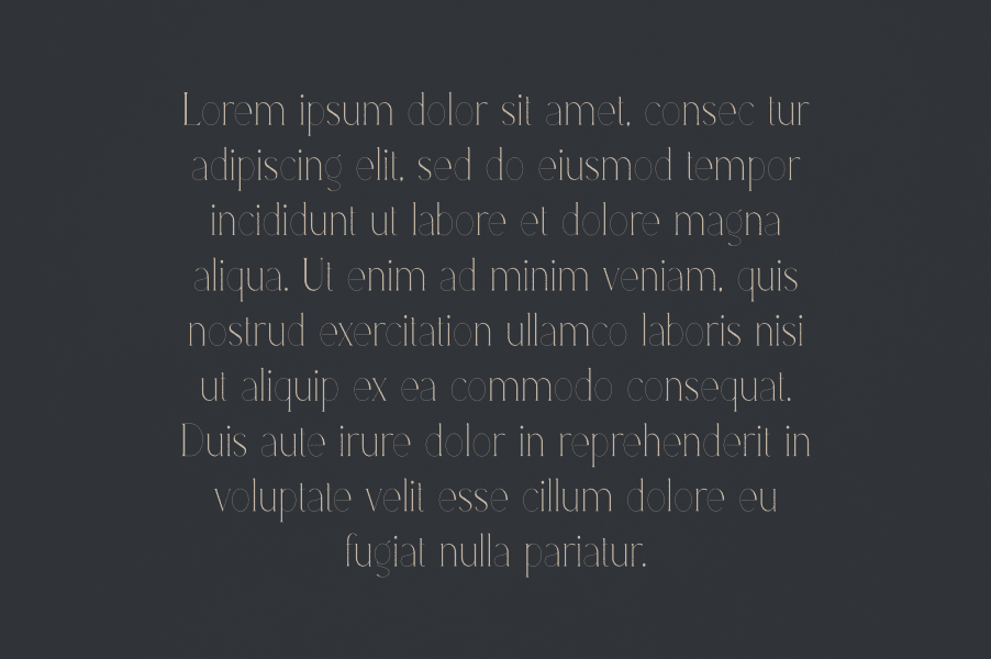 Linus Font · 1001 Fonts