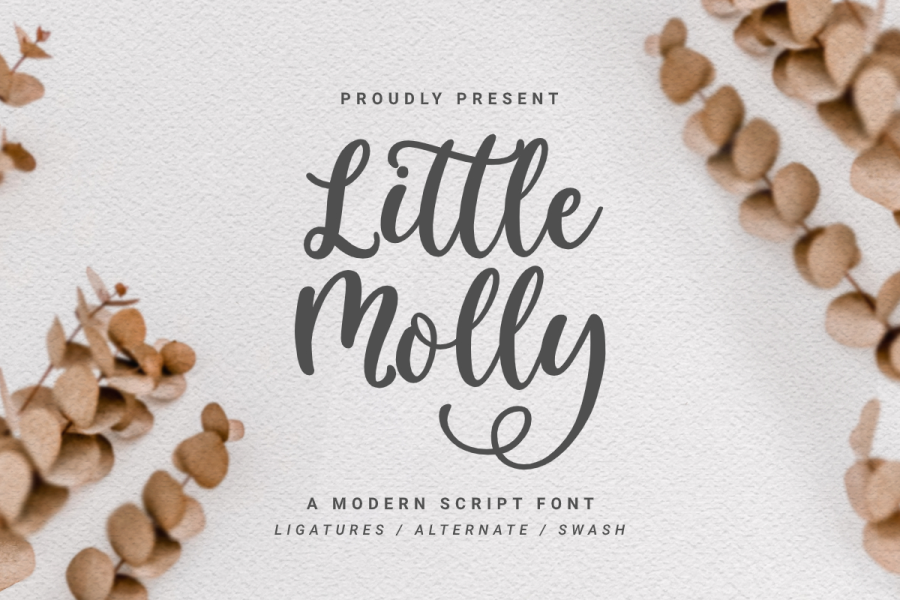 Little_Molly_Personal_Use Font · 1001 Fonts