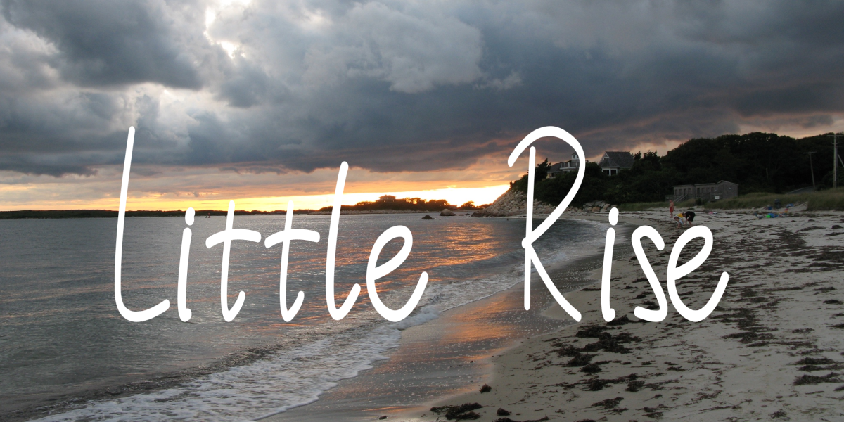 Little Rise Font · 1001 Fonts