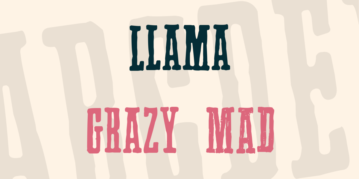 Llama Font Family · 1001 Fonts