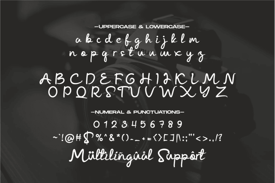 Losaline Queen Font · 1001 Fonts