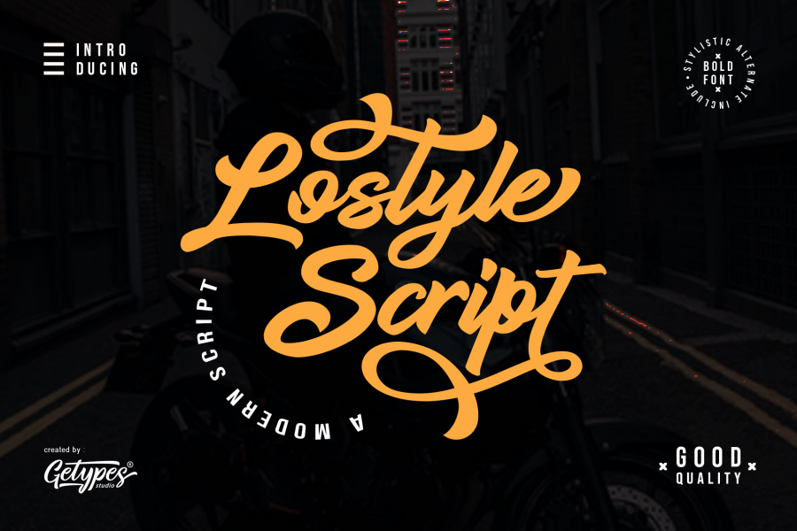 Lostyle Script Font · 1001 Fonts