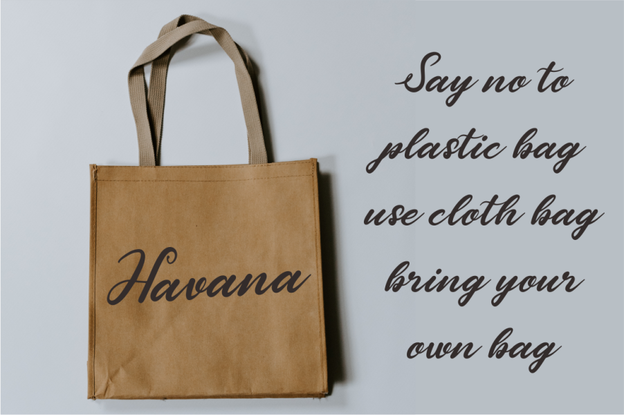 lotus Font · 1001 Fonts