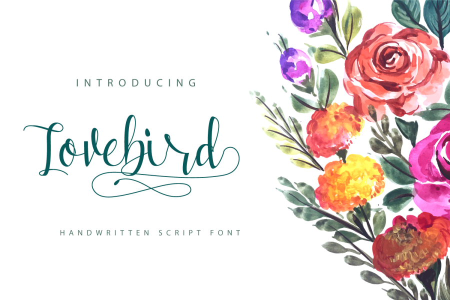 Lovebird Font Family · 1001 Fonts