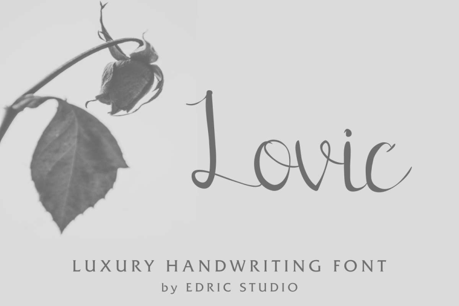 Lovic Demo Font Family · 1001 Fonts