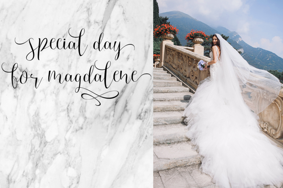 Loyalty Script Font · 1001 Fonts