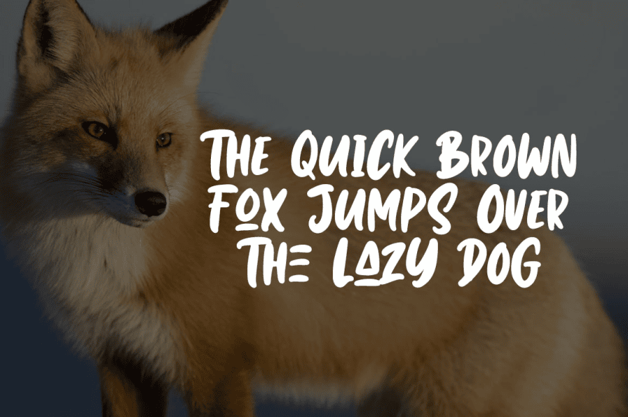 Maddox Font · 1001 Fonts