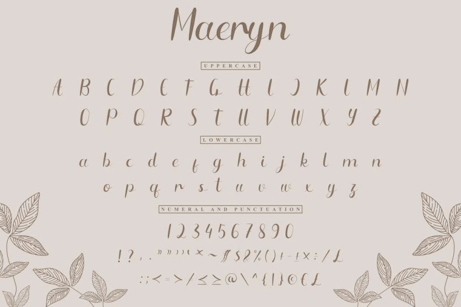 Maeryn Demo Font · 1001 Fonts