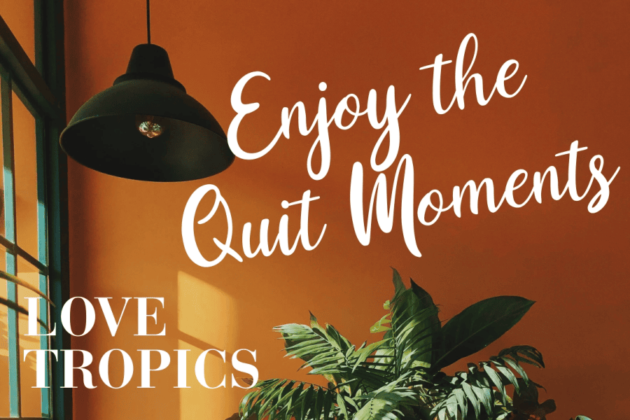 Magdalyn Font · 1001 Fonts