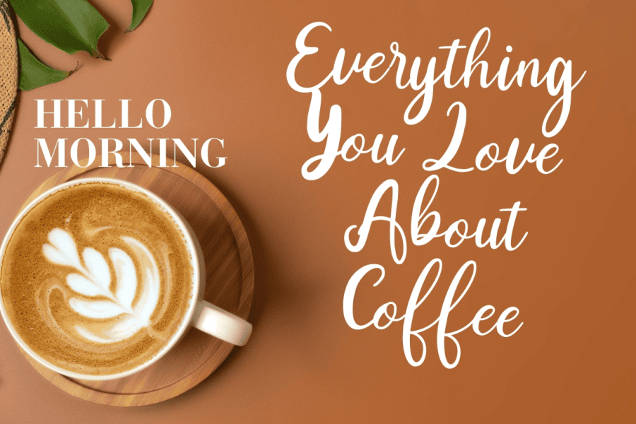 Magdalyn Font · 1001 Fonts