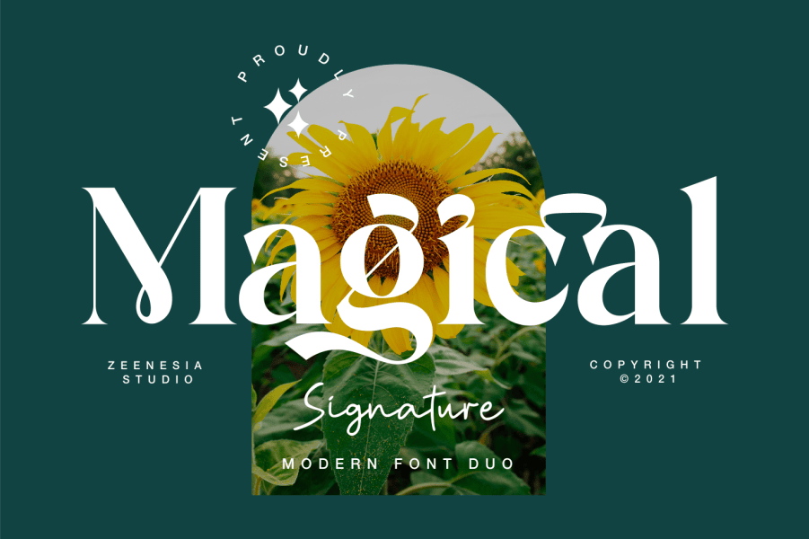 Magical Signature Personal Use Font · 1001 Fonts