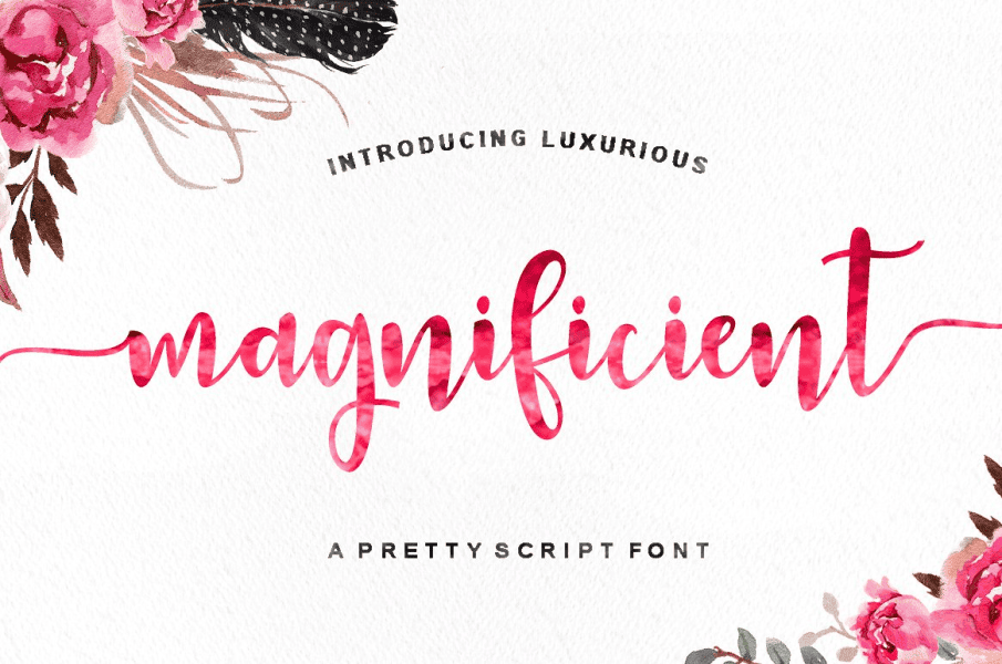 Magnificient Script Font · 1001 Fonts