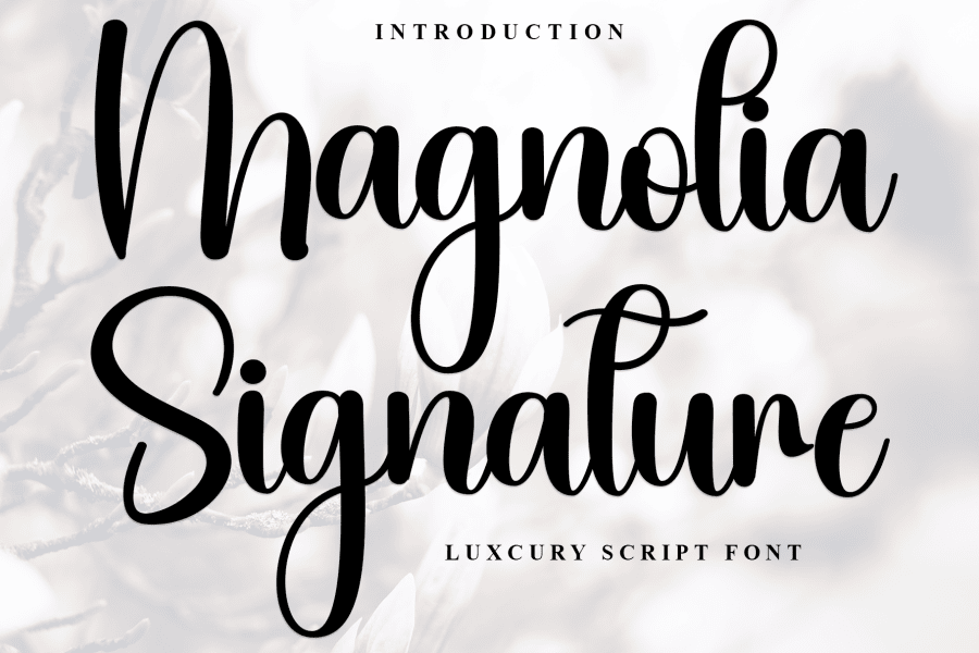 Magnolia Signature Font · 1001 Fonts