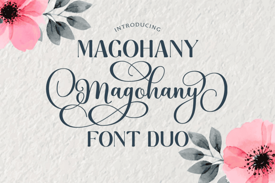 Magohany Script Font · 1001 Fonts