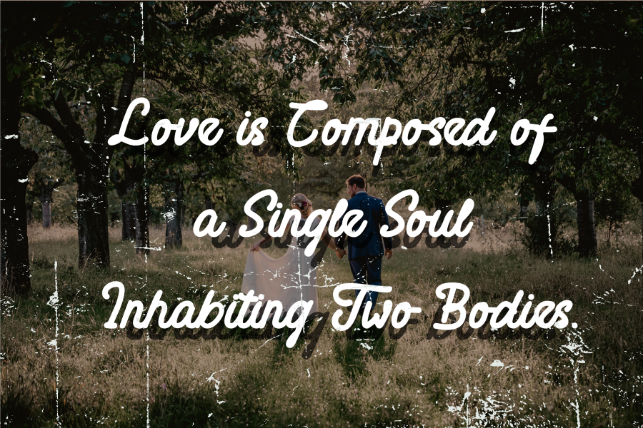 5 Free Creativity, Decorative, Line Fonts · 1001 Fonts