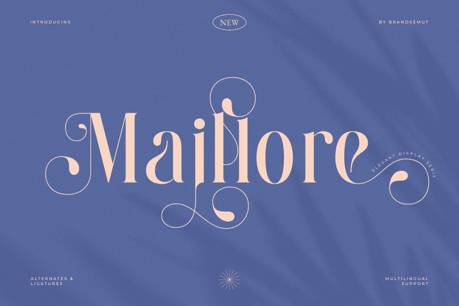 1 Free Serif Font With Details Font · 1001 Fonts