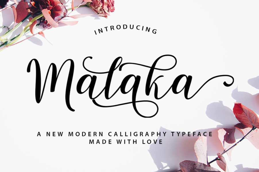 Malaka Script Font · 1001 Fonts
