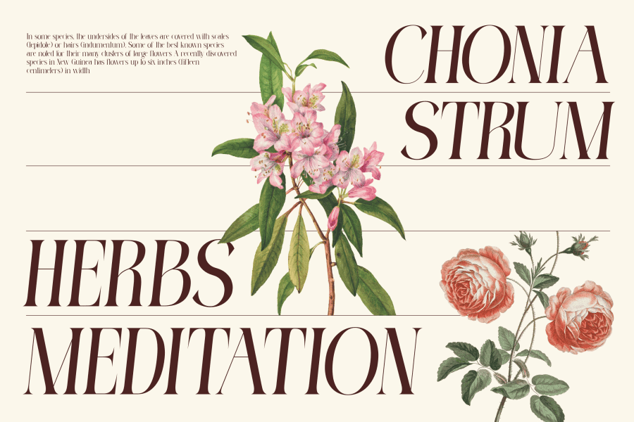 Malgods Bohemian Font Family · 1001 Fonts