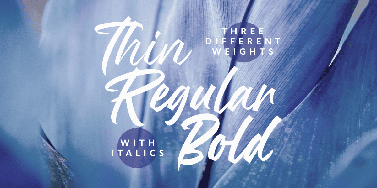 Mandoul Script PERSONAL USE ONLY Font Family · 1001 Fonts