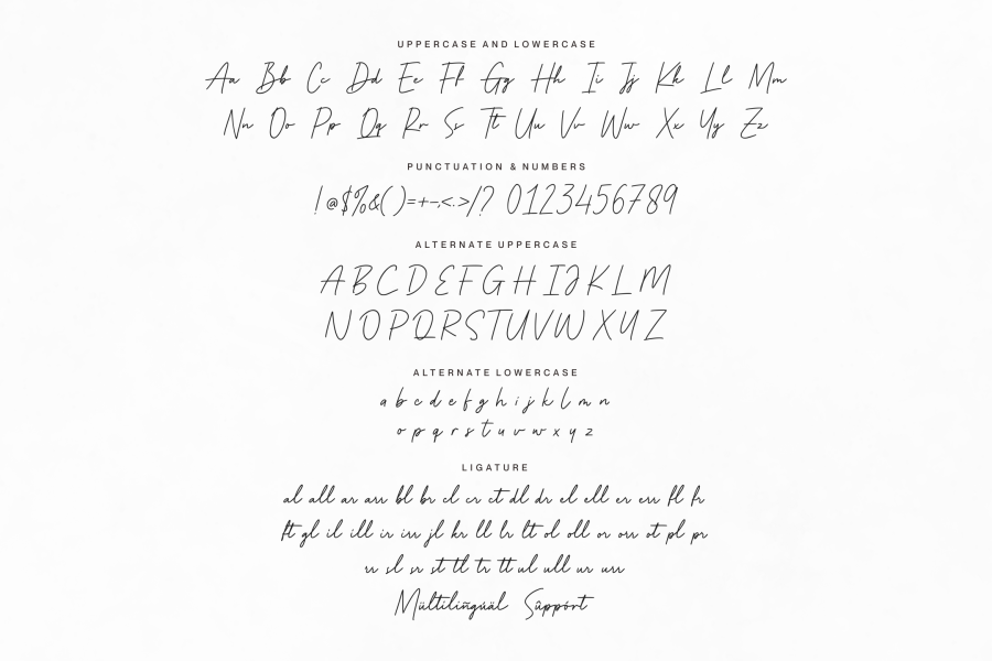 Manly Signature Font · 1001 Fonts