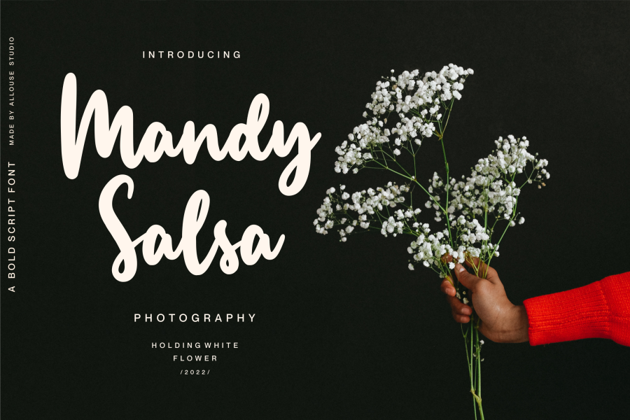 Manlyscript Font · 1001 Fonts